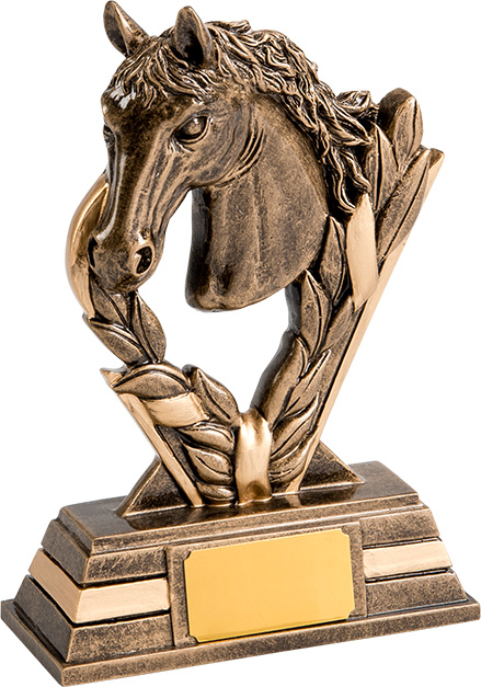 Horse Head Resin Trophy - 2 Sizes From €8.90 - Trophies Online Ireland ...