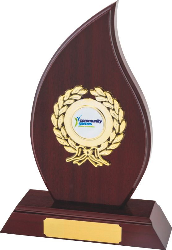 Wooden Plaque on Base - 3 Sizes - Trophies Online Ireland | Online ...