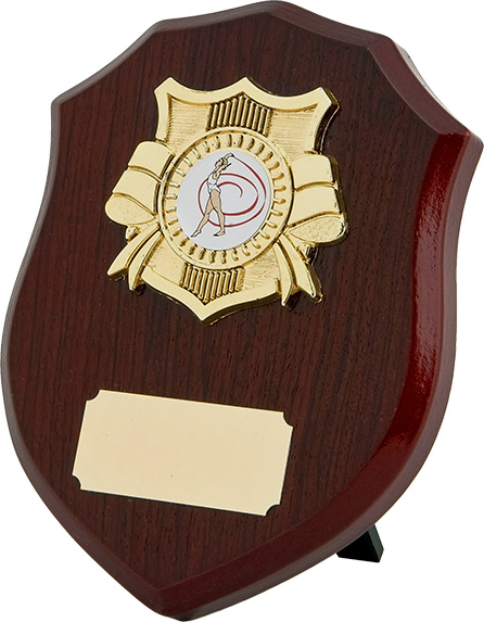 Shield Shape Wooden Plaque - 5 Sizes - Trophies Online Ireland | Online ...