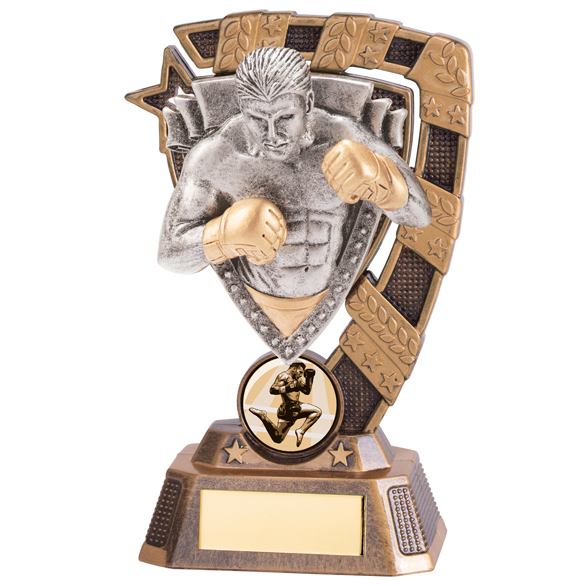 Euphoria MMA Trophy - 4 Sizes - Trophies Online Ireland | Online Trophy ...