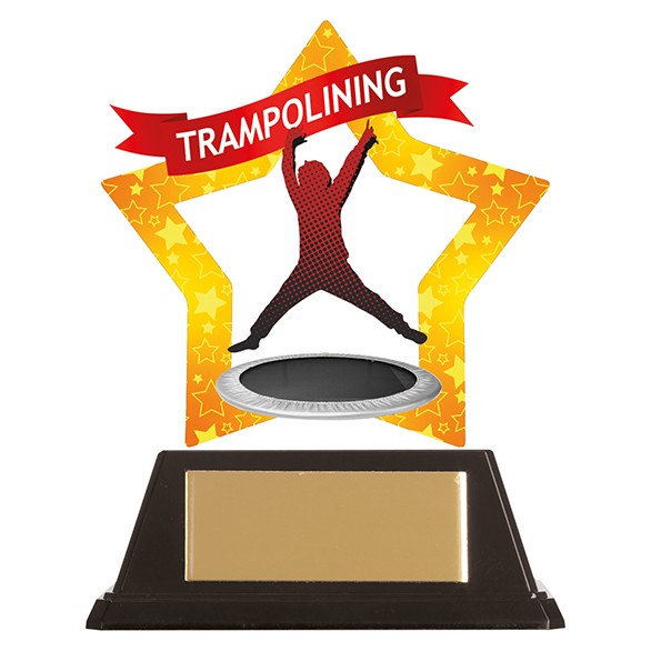 Mini-Star Trampolining Award - Trophies Online Ireland | Online Trophy ...