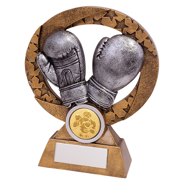 Revolution Boxing Award